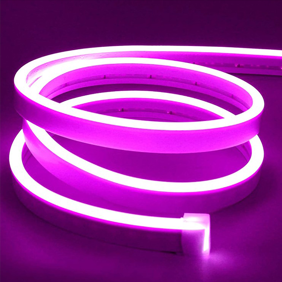 Neon 5 metre IP65 Led Mor Işık - Bauhaus